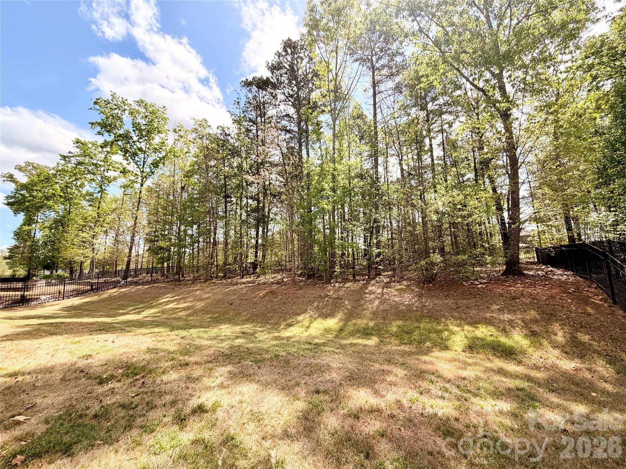 725 Kathy Dianne Drive, Fort Mill, SC - photo 46 of 47