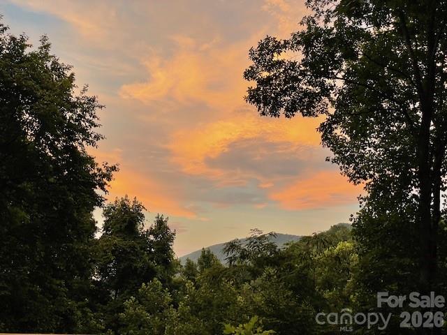 771 Sally Gap Road, Old Fort, NC - photo 46 of 49