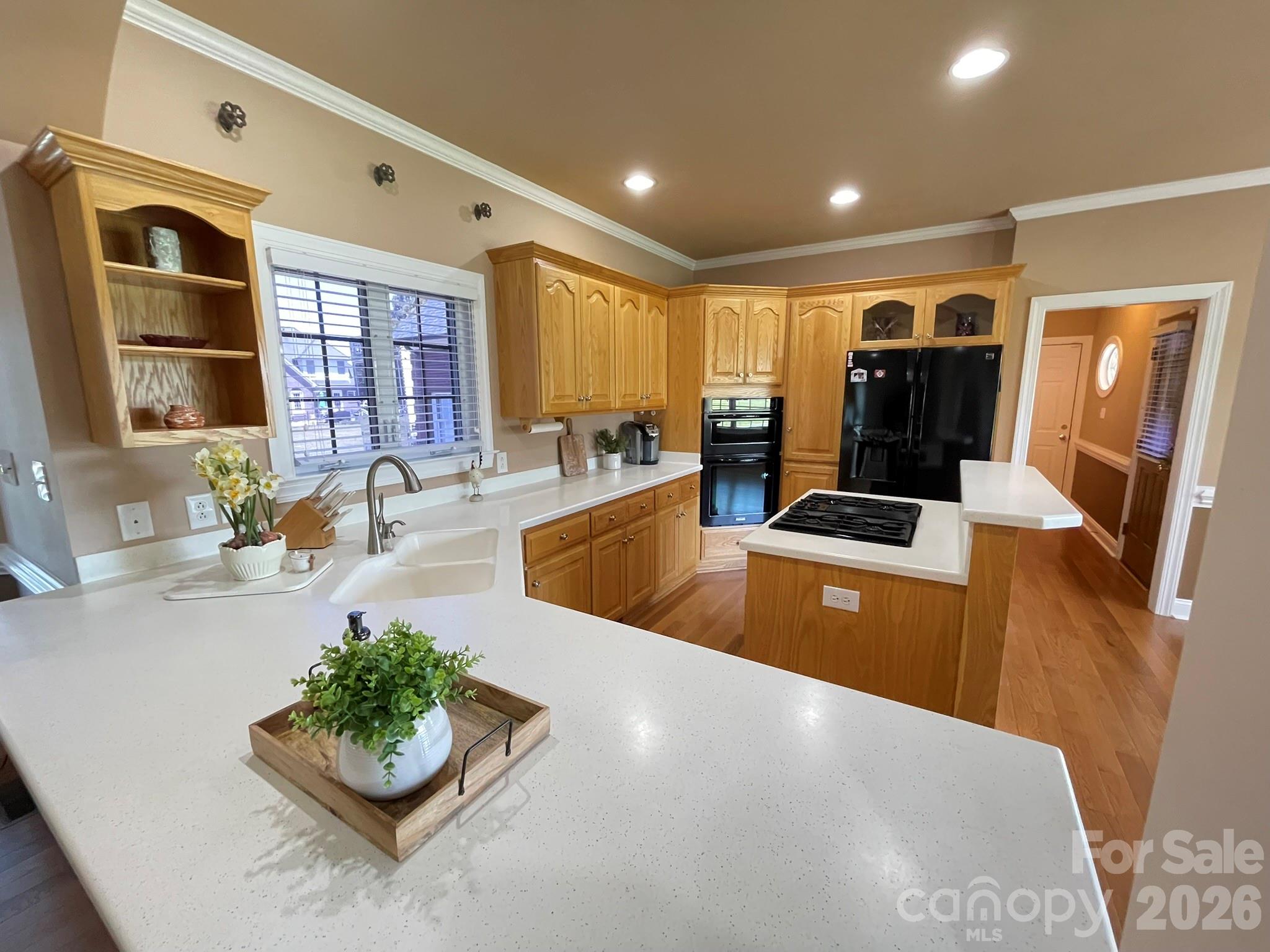 600 Ivah Lee Way, Monroe, NC - photo 4 of 46