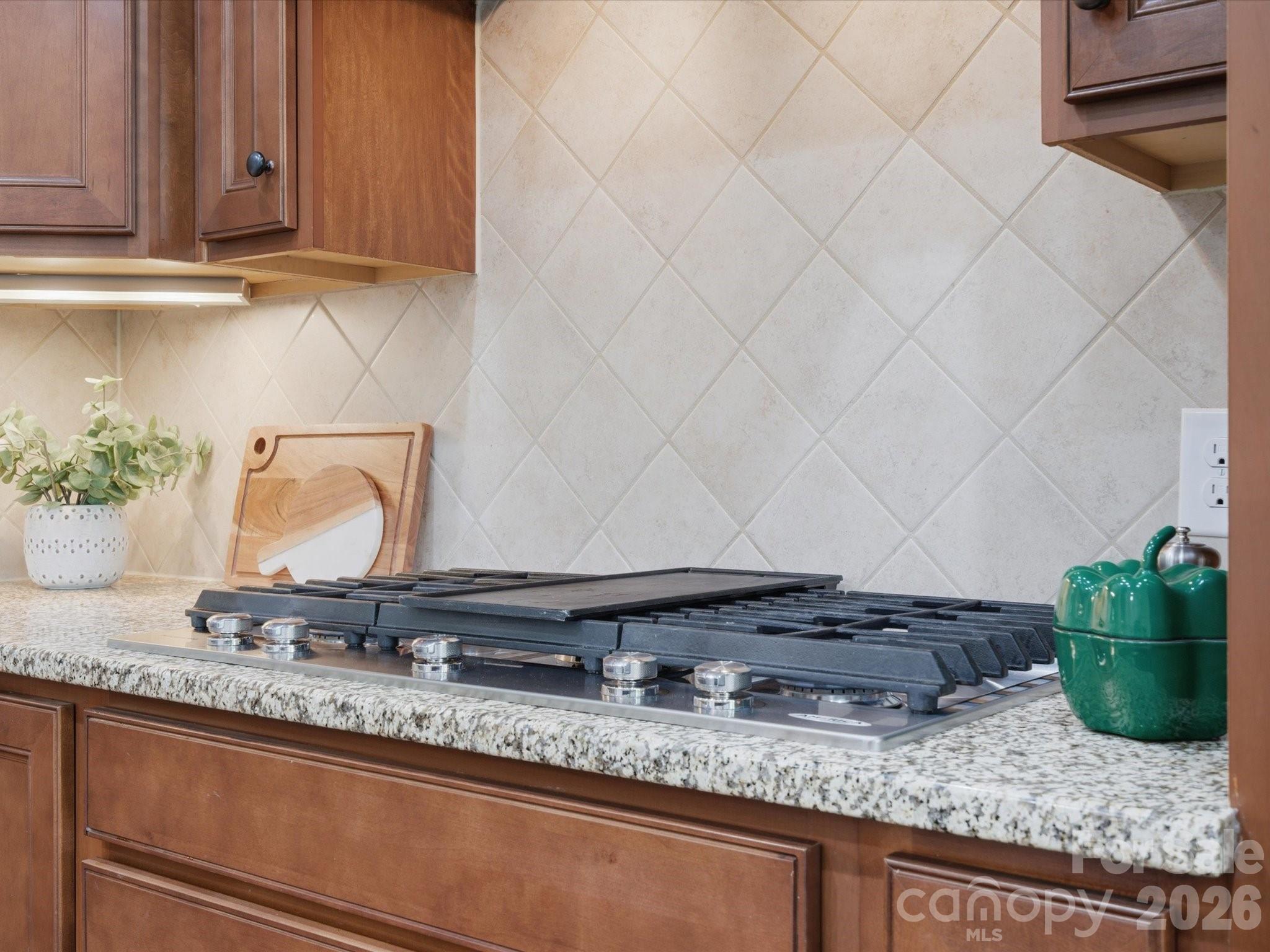 1004 Mava Court, Indian Land, SC - photo 11 of 49