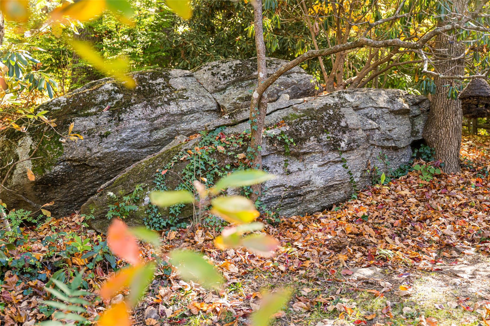 15 Meadow Lane, Fairview, NC - photo 30 of 38