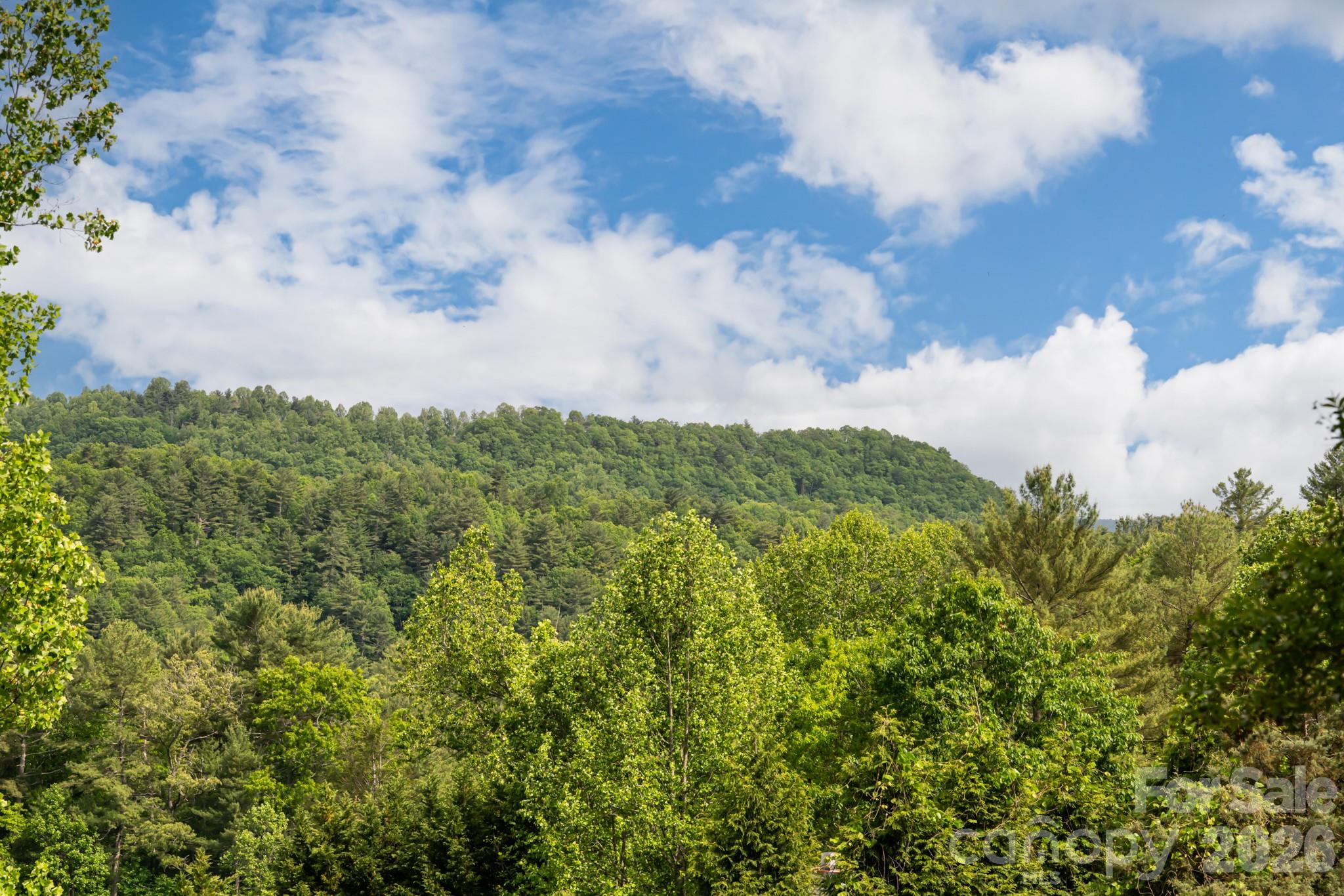 10 Terrapin Trail, Flat Rock, NC - photo 33 of 35