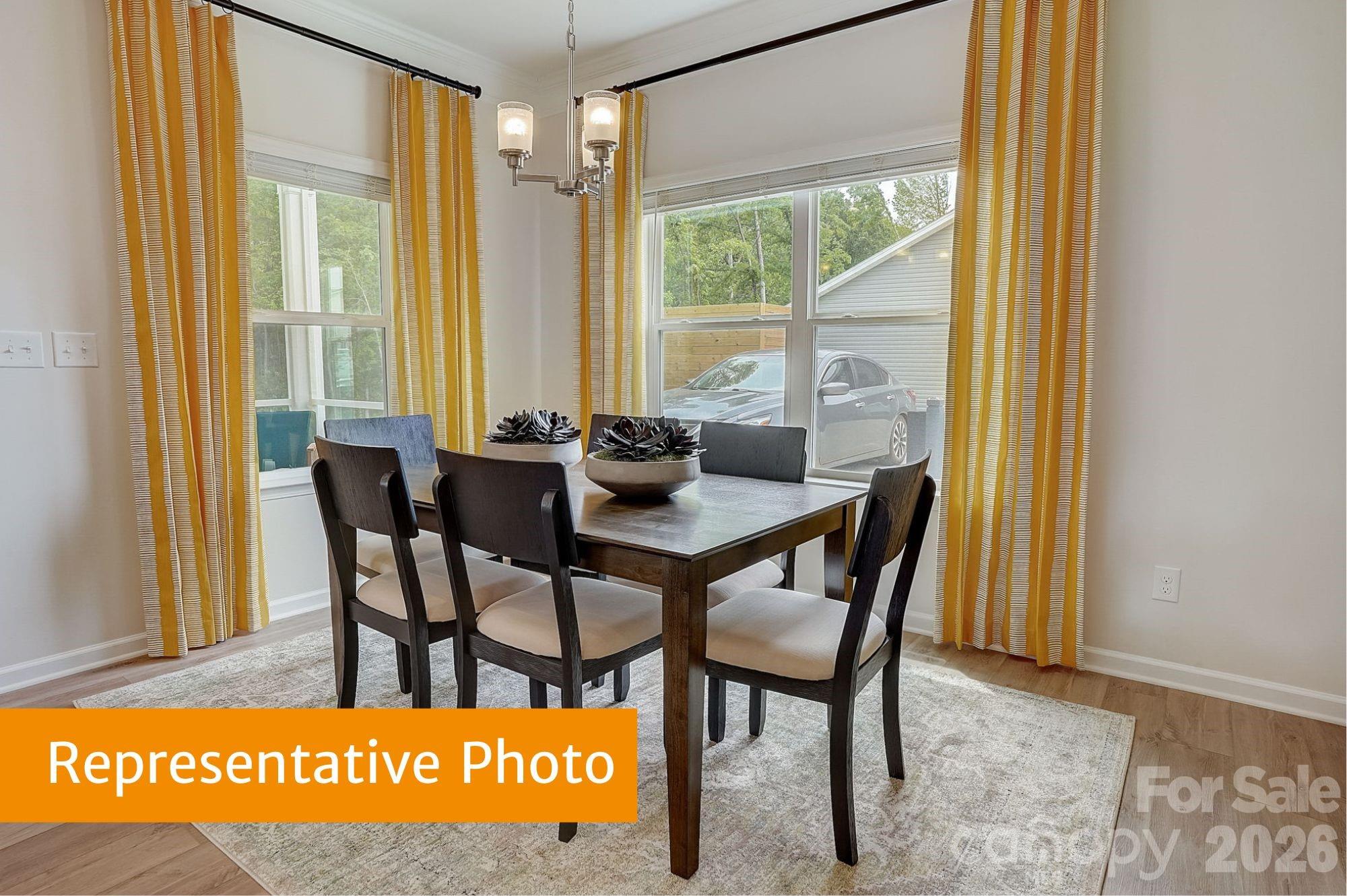 4236 Ruth Creek Court, Charlotte, NC - photo 7 of 24