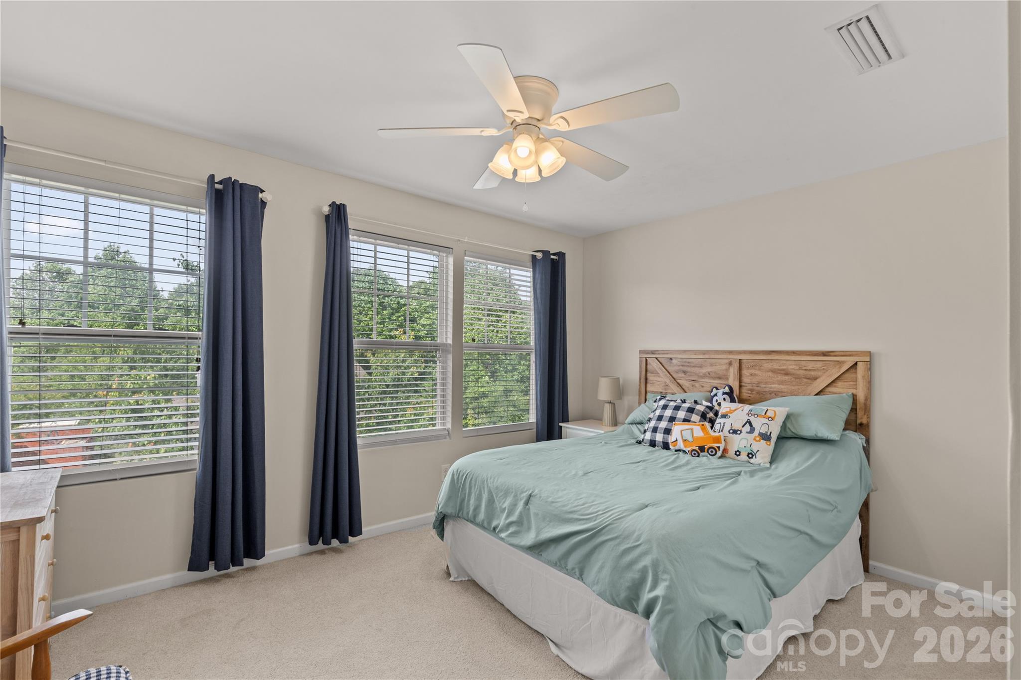 493 Dutch White Drive, Clover, SC - photo 22 of 45
