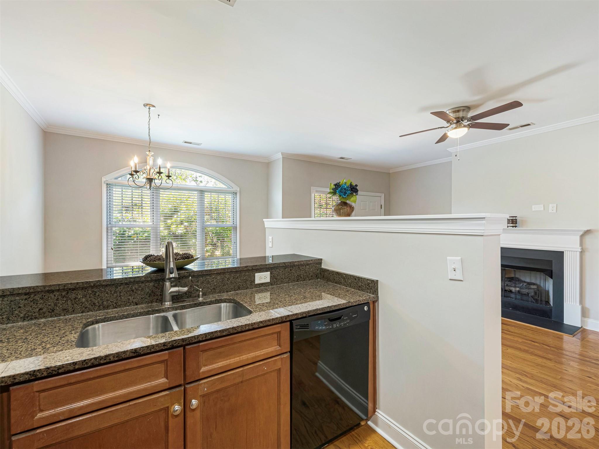 4670 Dabney Vigor Drive, Charlotte, NC - photo 10 of 19