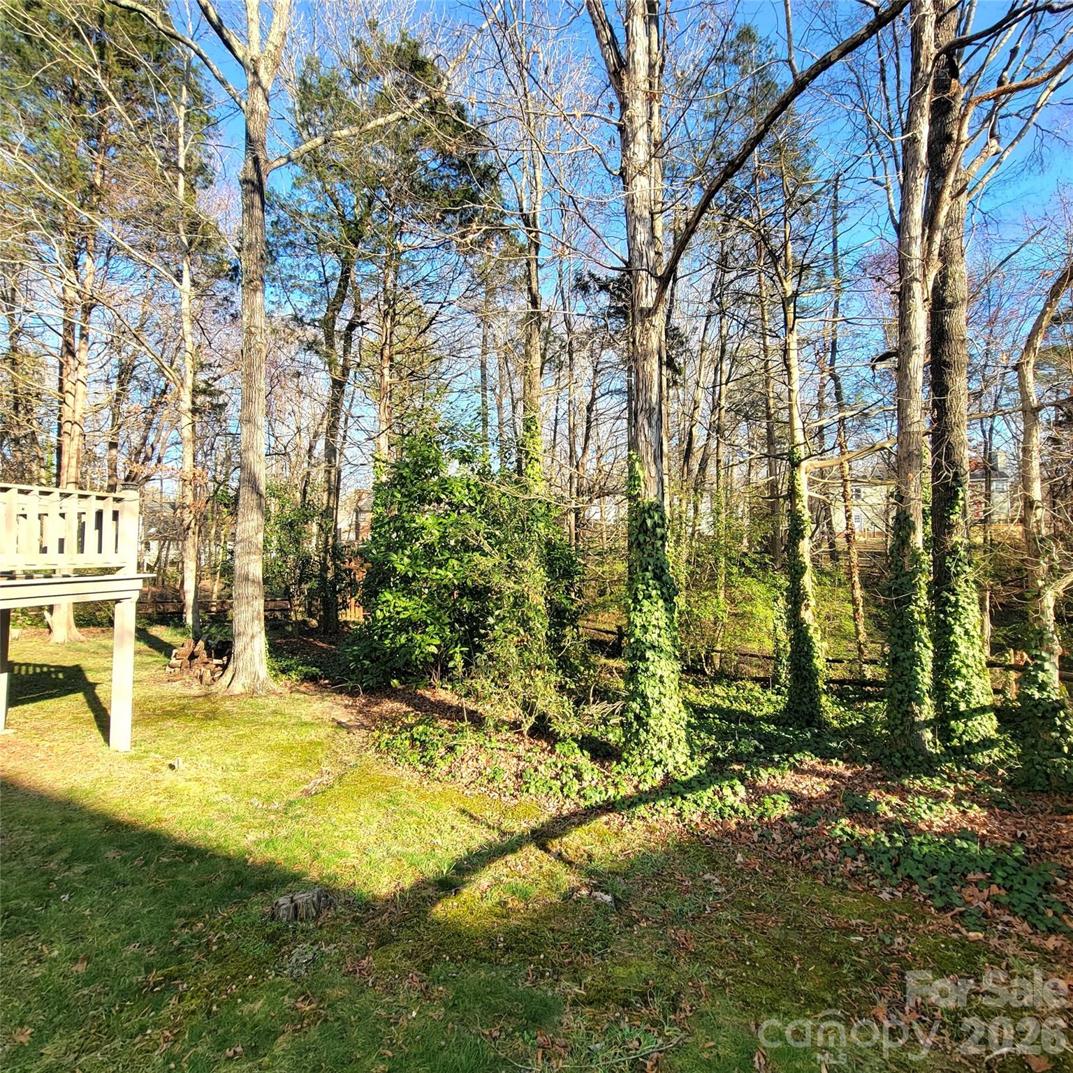 1009 Hunley Hill Court, Matthews, NC - photo 35 of 46