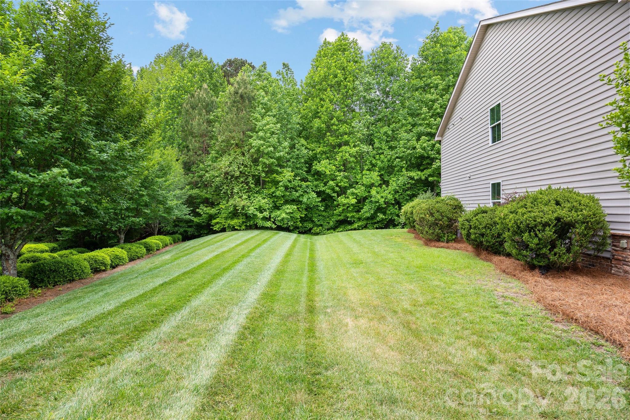 4008 Pinebrook Lane, Waxhaw, NC - photo 22 of 32