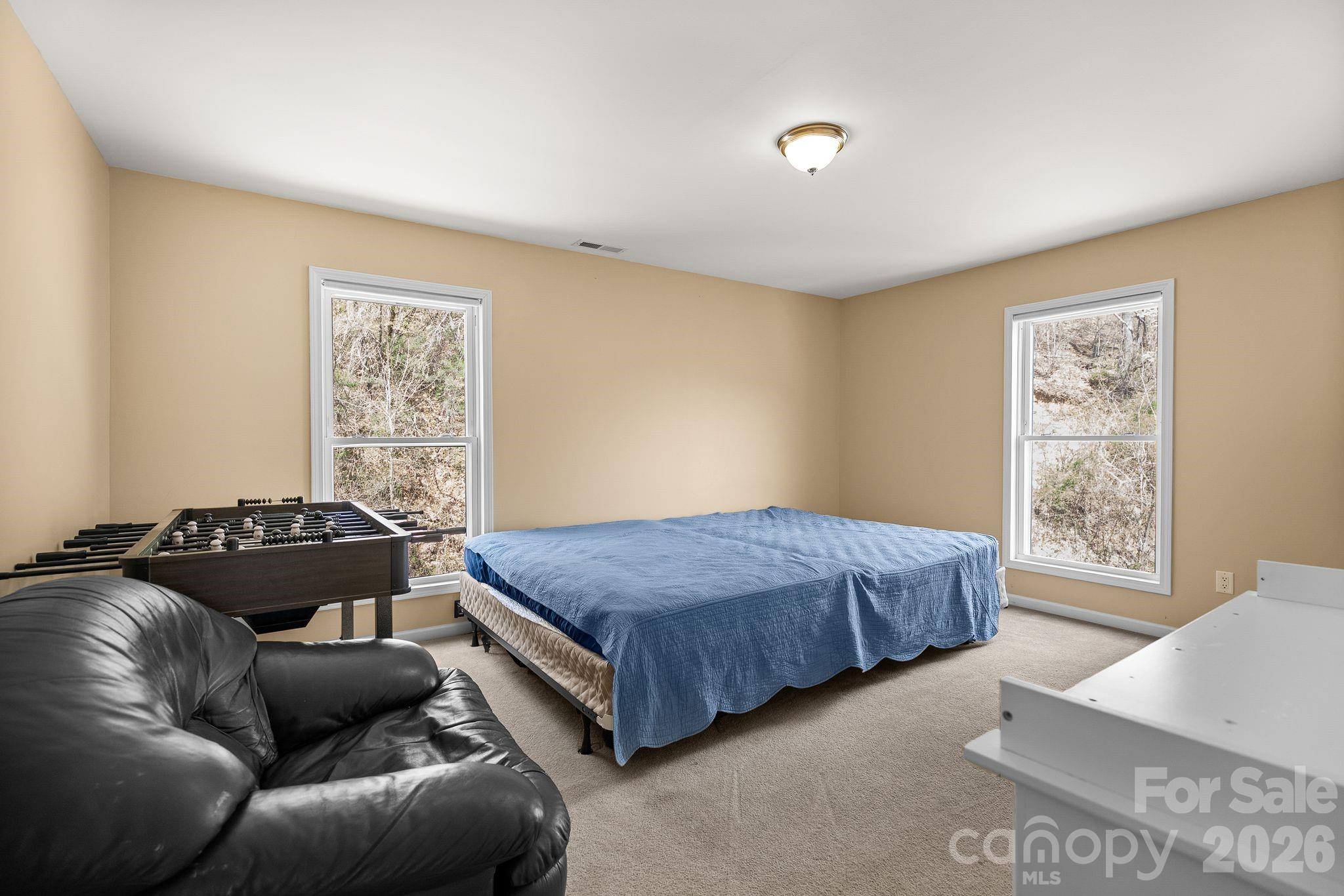 267 Eagles Trace, Canton, NC - photo 32 of 49