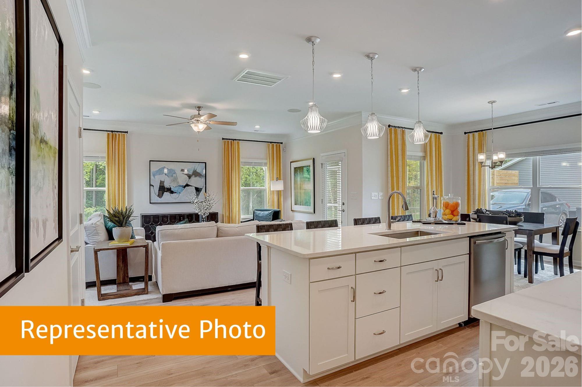 4236 Ruth Creek Court, Charlotte, NC - photo 3 of 24