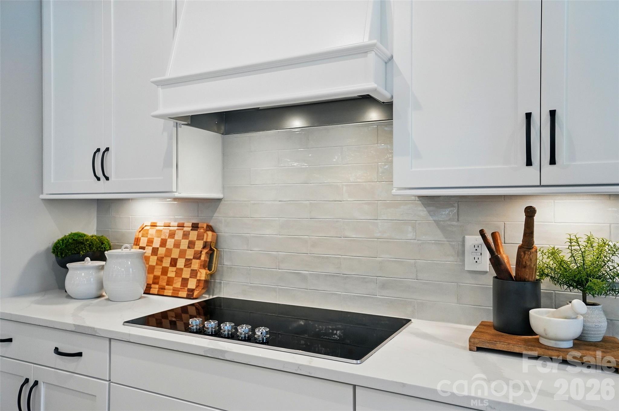 Photo 4 of 12023 Lavinia Lane, Charlotte, NC