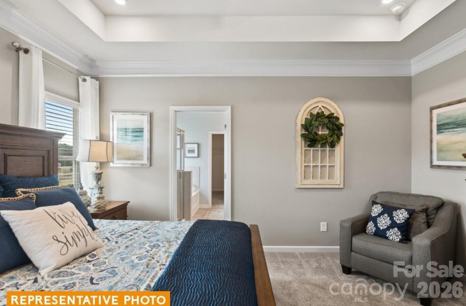 4239 Ruth Creek Court, Charlotte, NC - photo 15 of 25