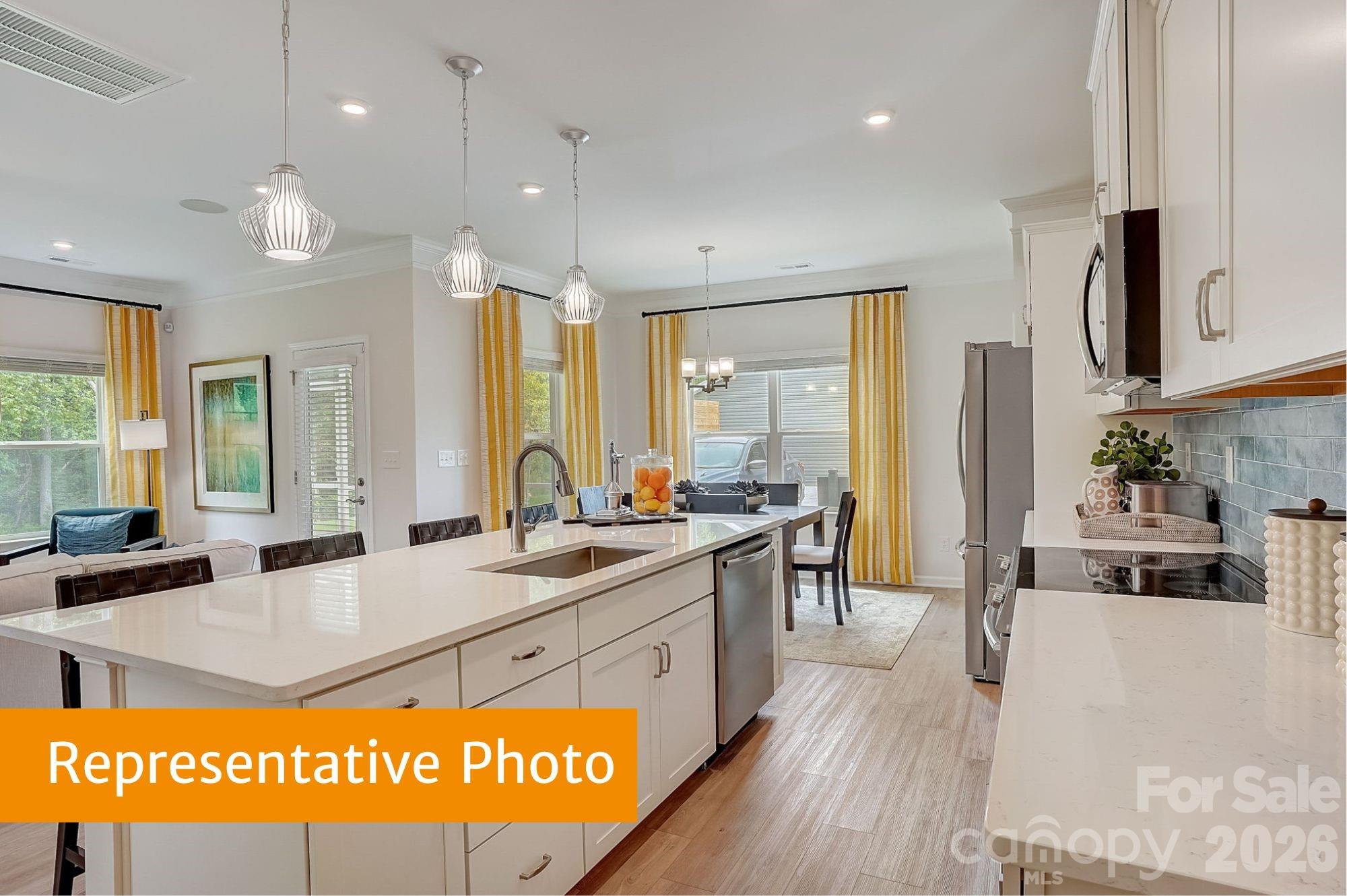 4236 Ruth Creek Court, Charlotte, NC - photo 4 of 24