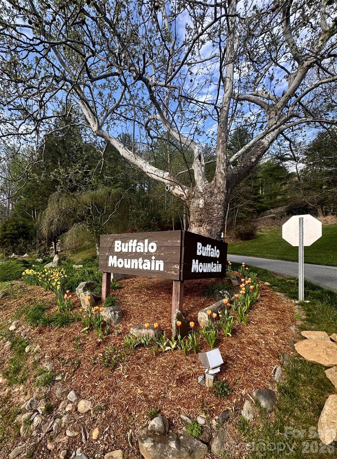 125 Buffalo Trail, Asheville, NC - photo 11 of 39