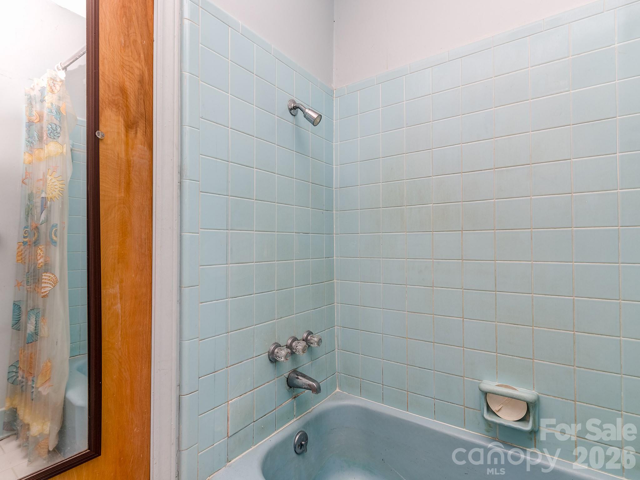 106 Mimosa Lane, Fort Mill, SC - photo 13 of 26