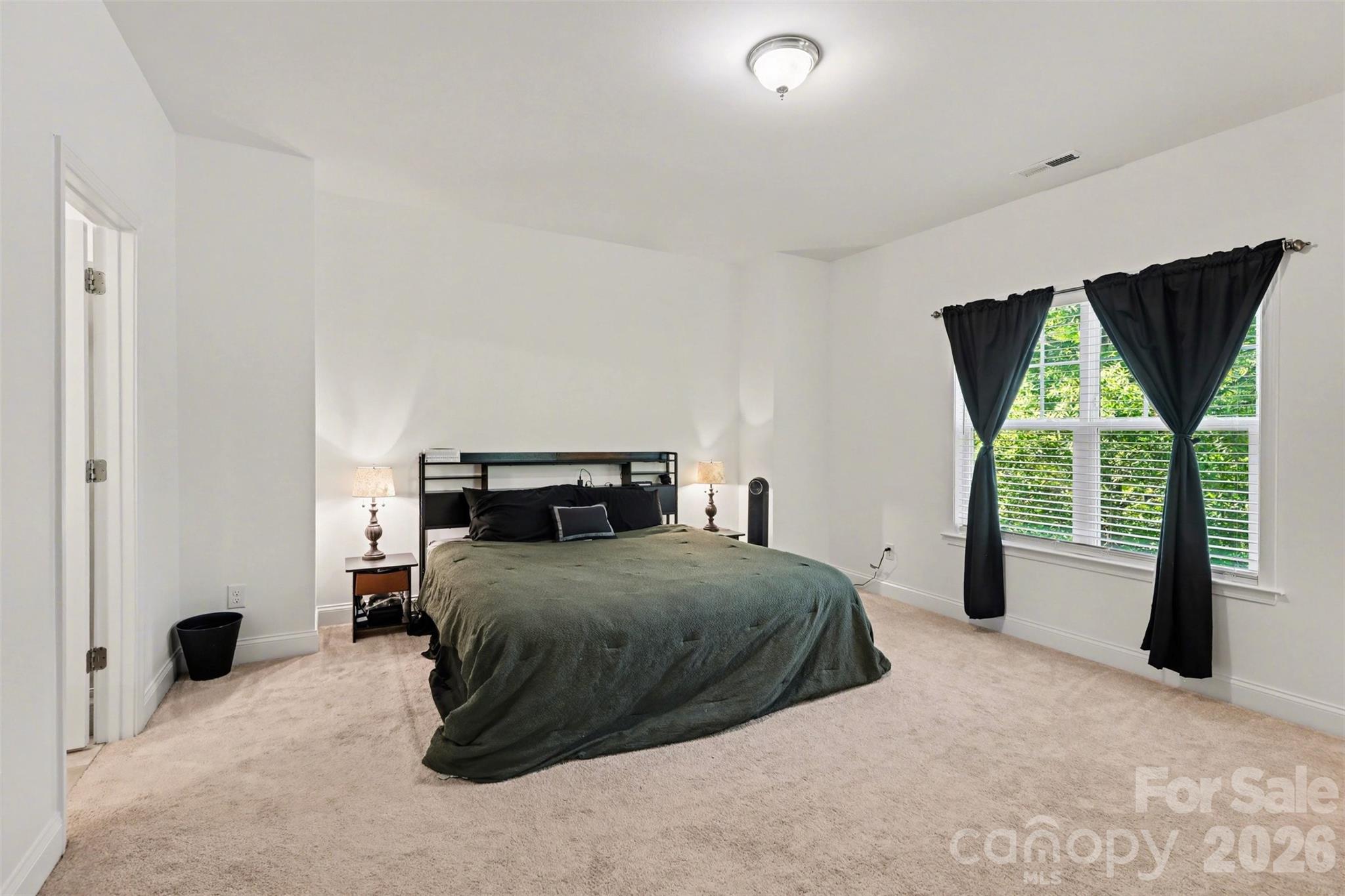 13712 Cinnabar Place, Huntersville, NC - photo 6 of 32