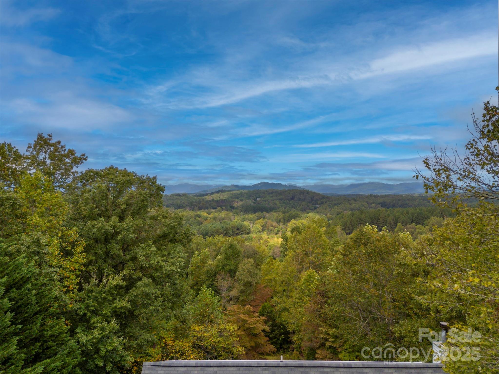 167 Balfour Drive, Rutherfordton, NC - photo 43 of 49