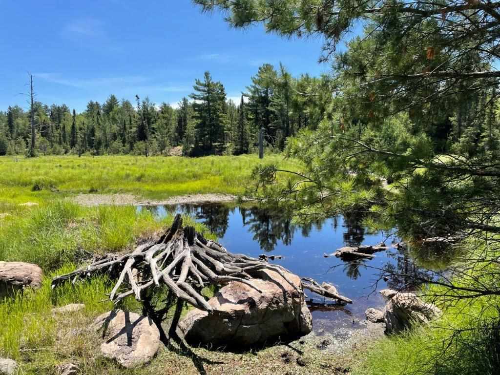 xxxx Mud Creek Rd for sale in Ely, Minnesota, MLS ID 6119068 Bear ...