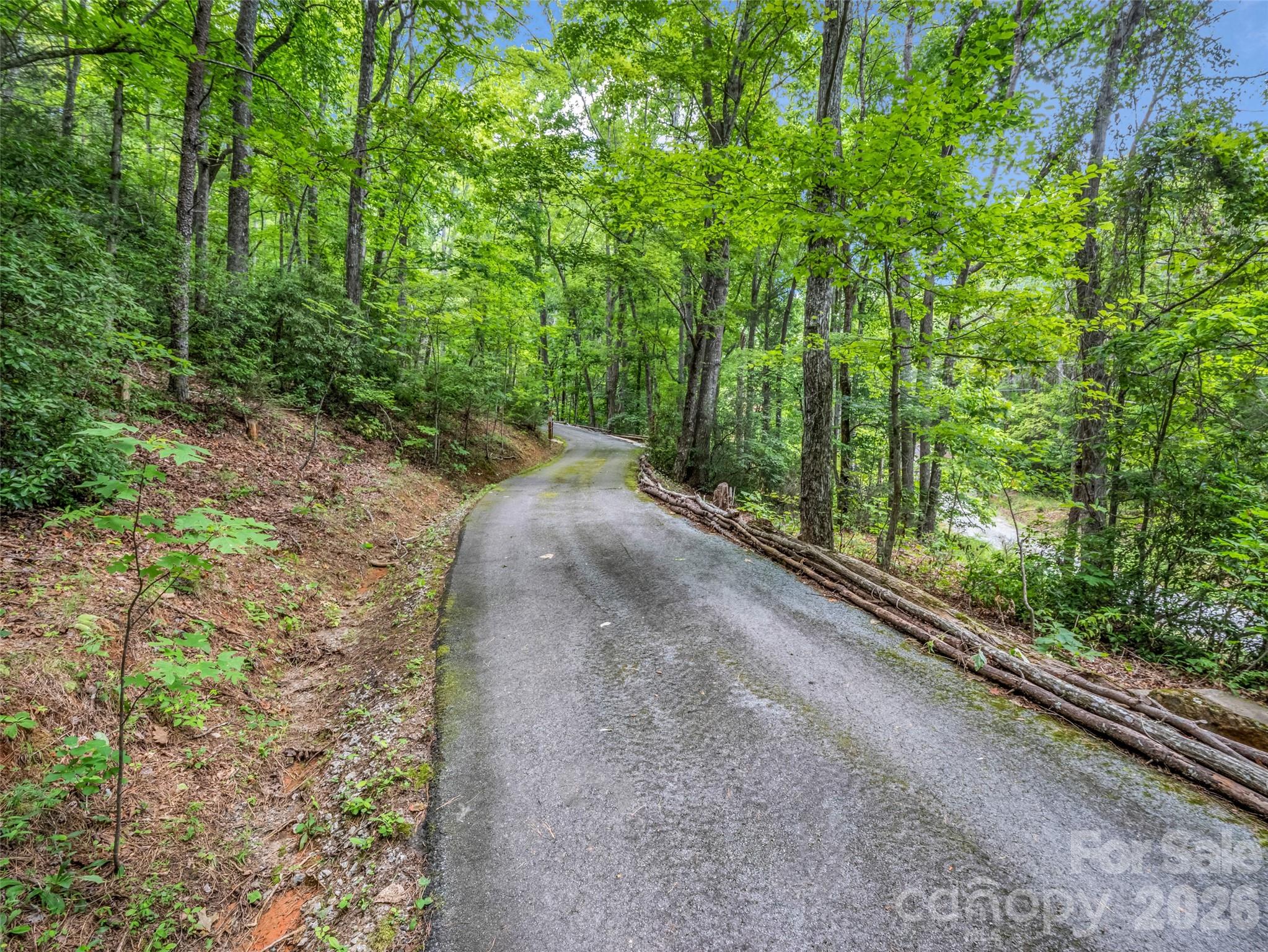 479 Camp Hill Road, Mill Spring, NC - photo 38 of 49