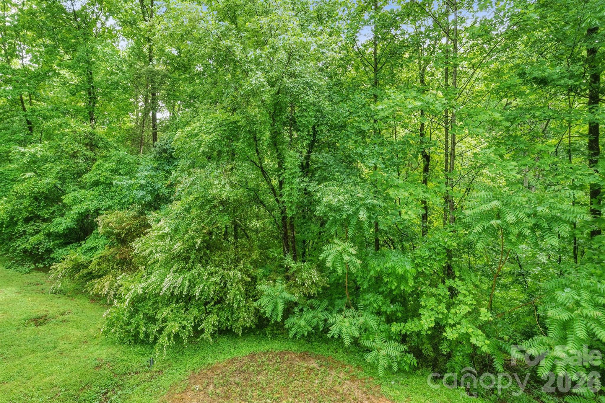 1227 Shirebourn None, Hickory, NC - photo 9 of 48