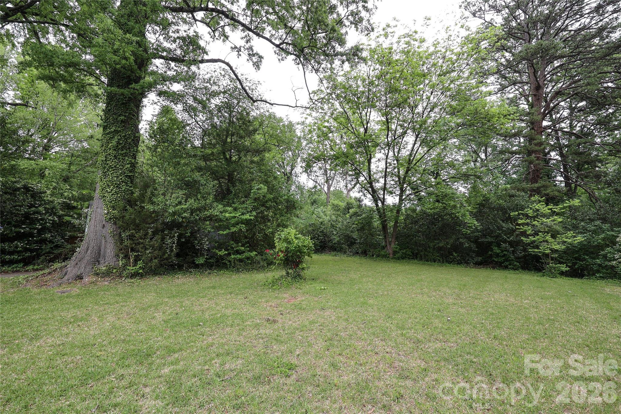 1456 Briar Creek Road, Charlotte, NC - photo 34 of 39