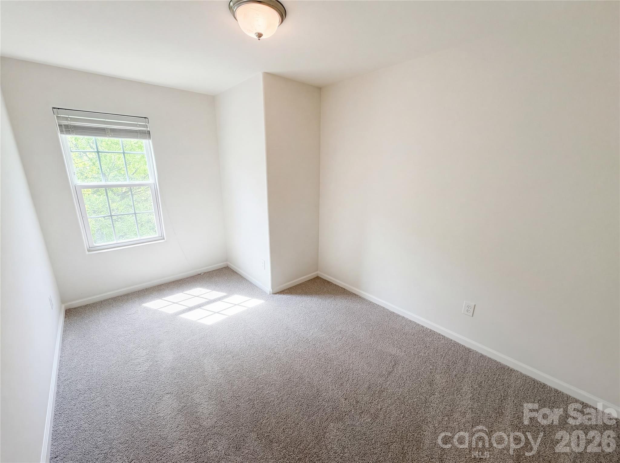Photo 20 of 8321 Candlenut Lane, Charlotte, NC