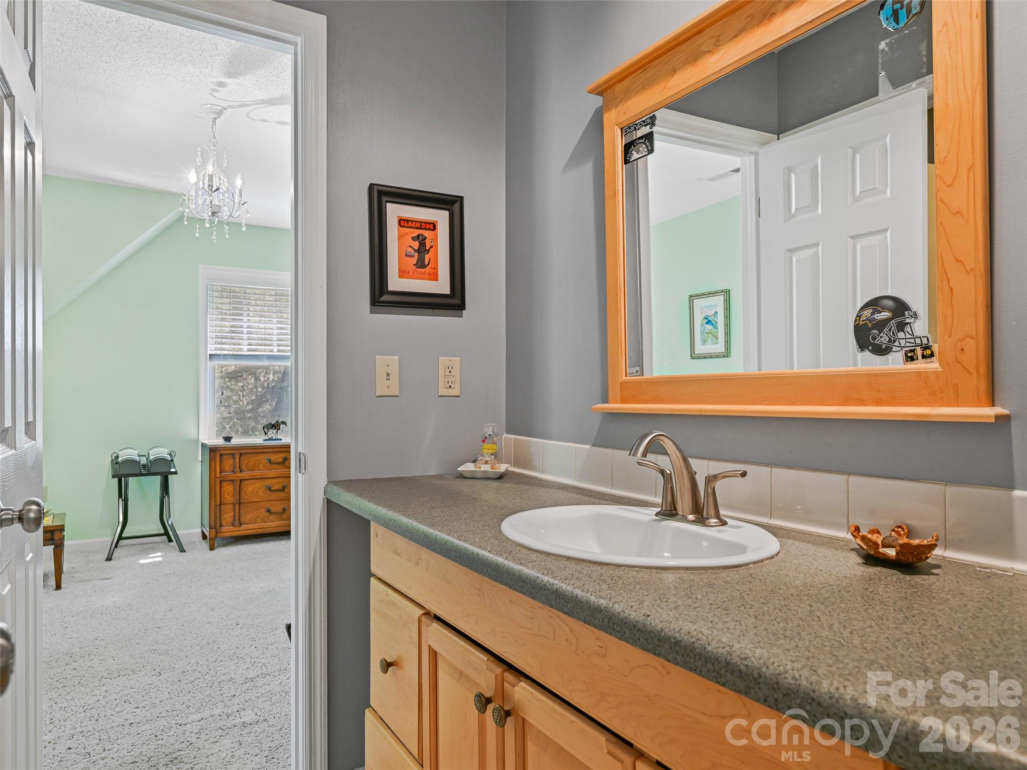18 Thousand Oaks Boulevard, Fairview, NC - photo 25 of 45