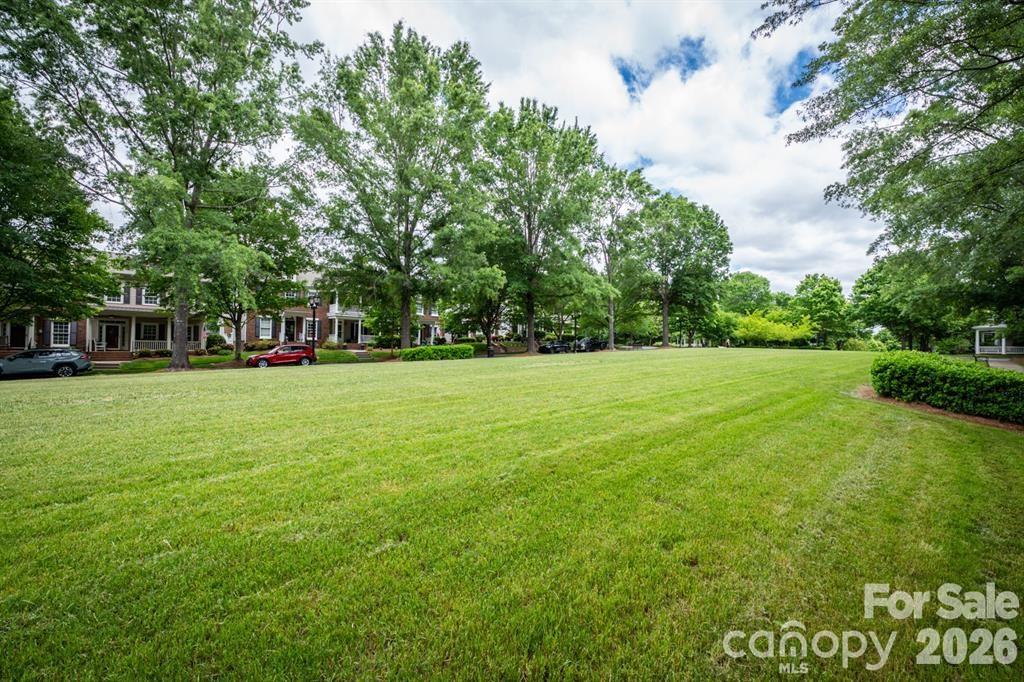189 Mills Lane, Fort Mill, SC - photo 45 of 49