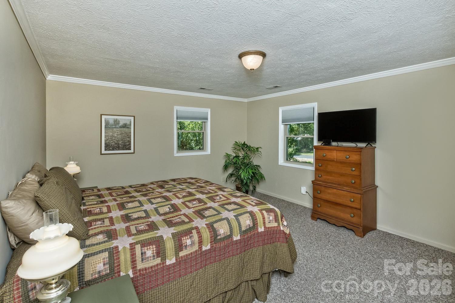 29 S Greenwood Forest Drive, Etowah, NC - photo 11 of 45