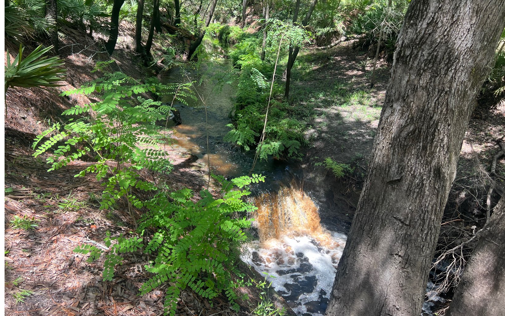 White Springs Real Estate TBD SE 68th Terrace White Springs ,FL ...