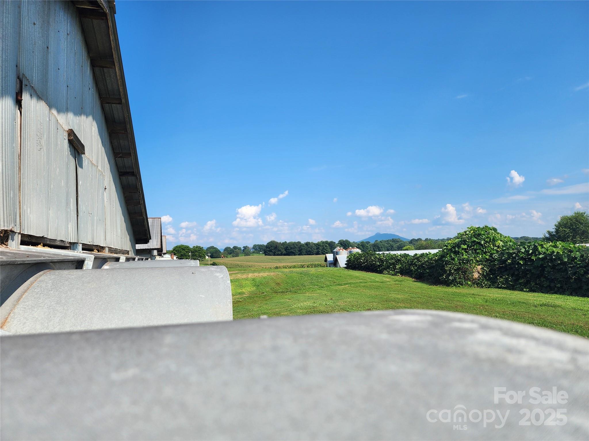 167 Buck Hollow Trail, Ararat, NC - photo 18 of 45