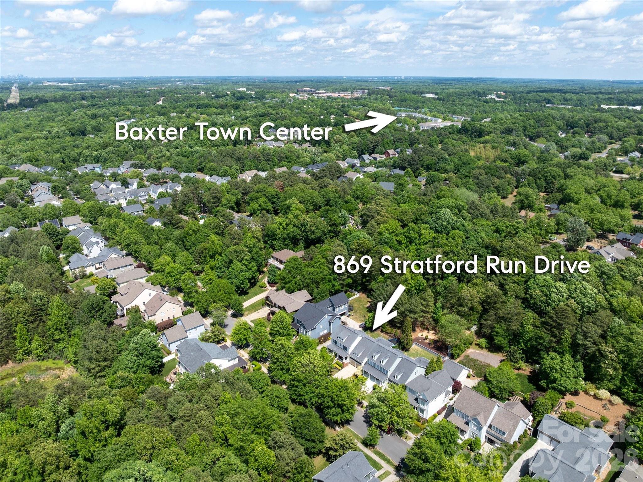 869 Stratford Run Drive, Fort Mill, SC - photo 43 of 44
