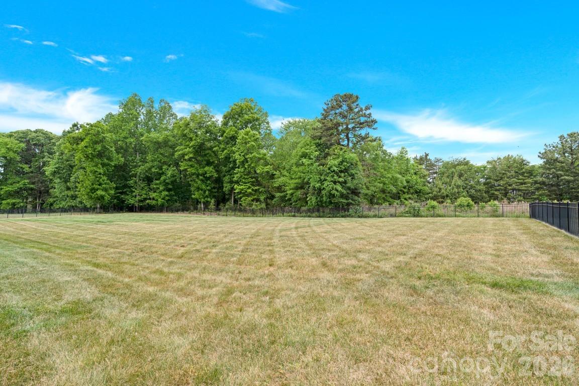 125 Leeward Shoals Lane, Mooresville, NC - photo 45 of 49