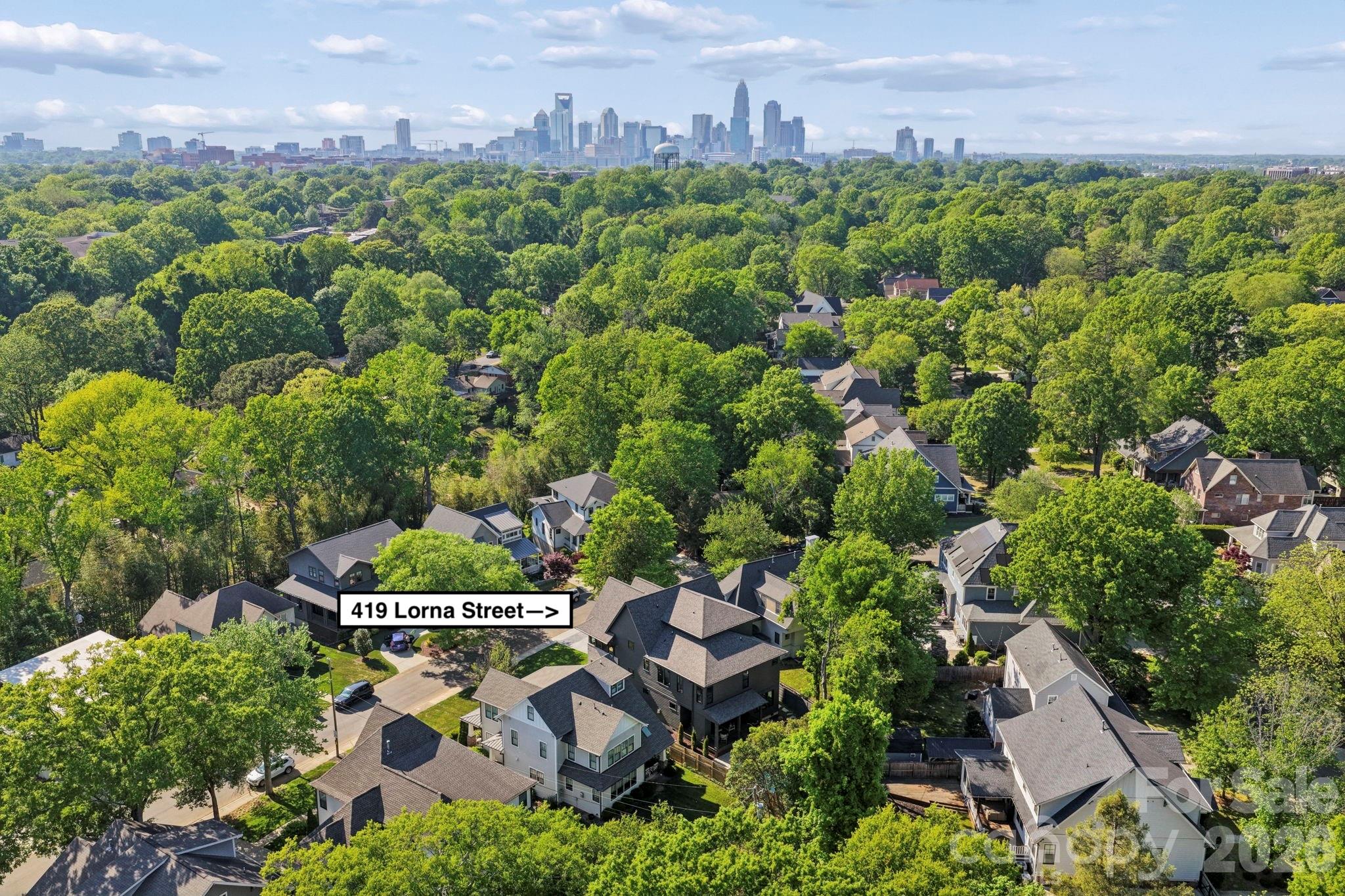 419 Lorna Street, Charlotte, NC - photo 48 of 49