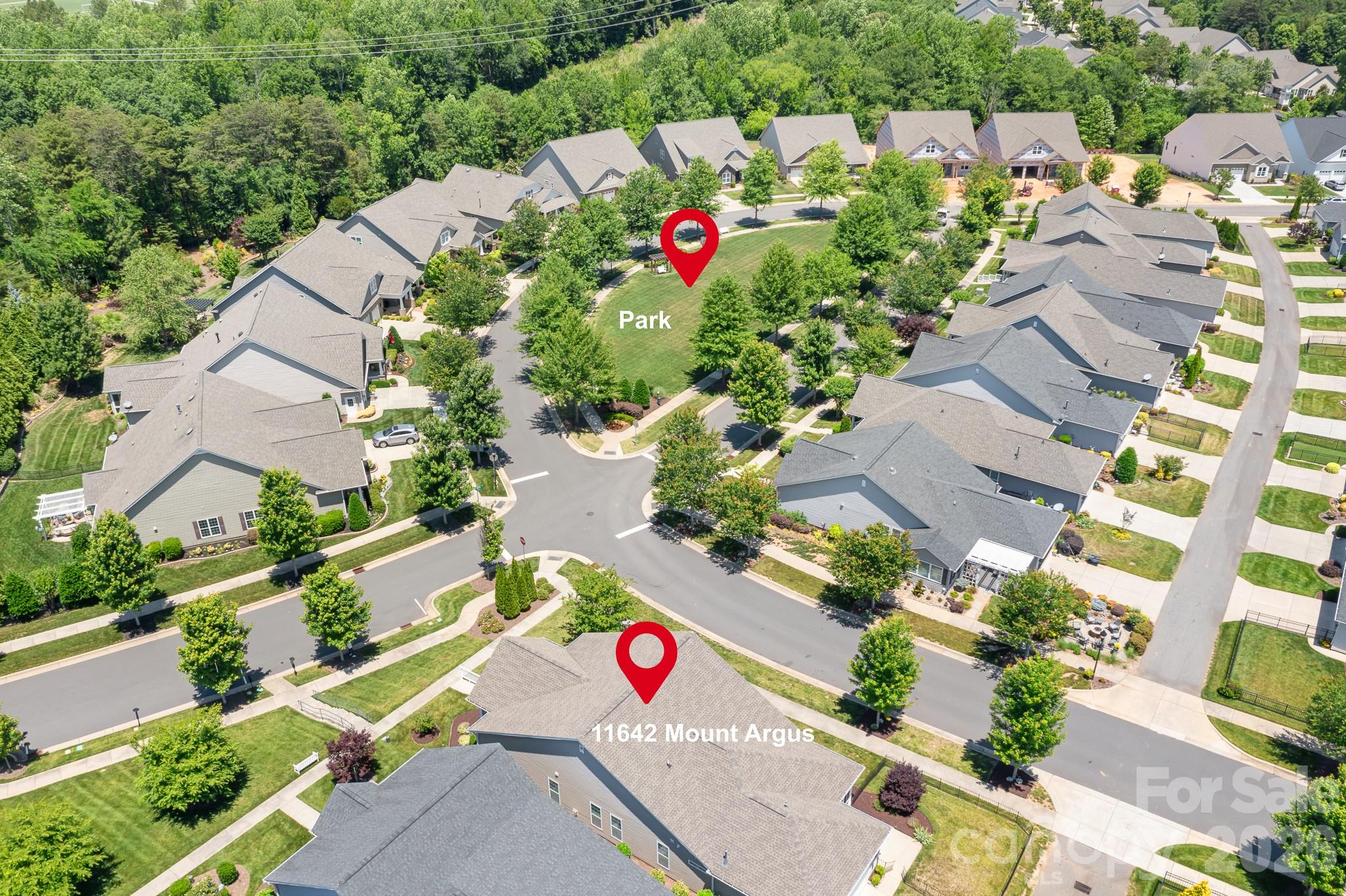 11642 Mount Argus Drive, Cornelius, NC - photo 33 of 49
