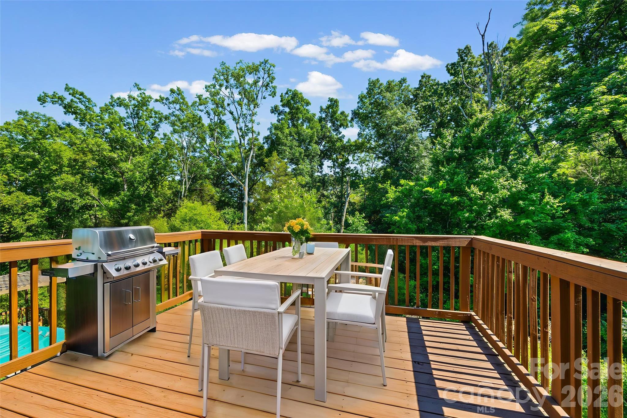 1008 Dorsey Drive, Fort Mill, SC - photo 13 of 49