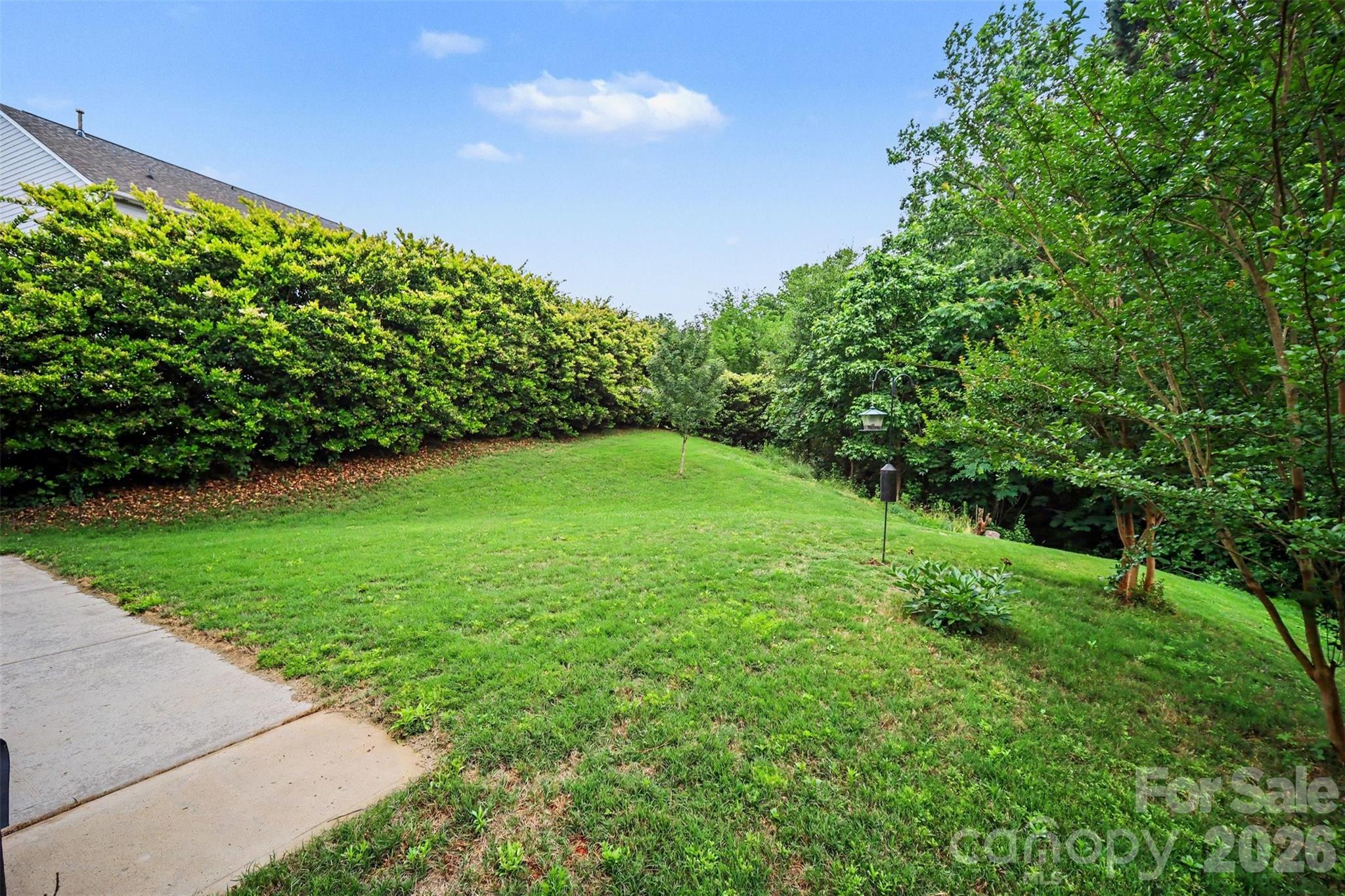 6003 Fallondale Road, Waxhaw, NC - photo 11 of 48