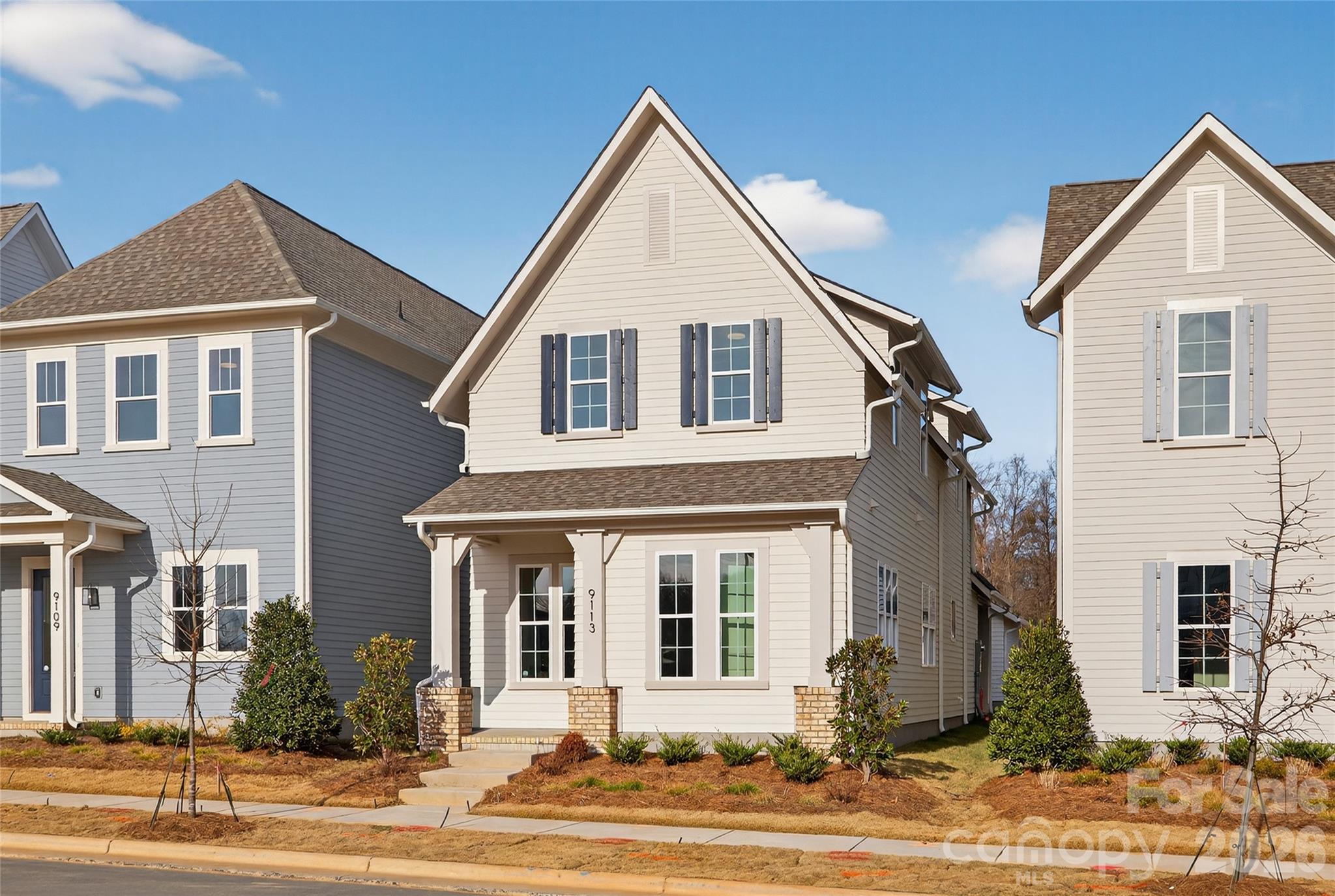 9113 Maybry Park StreetLot 116, Charlotte, NC - photo 2 of 31