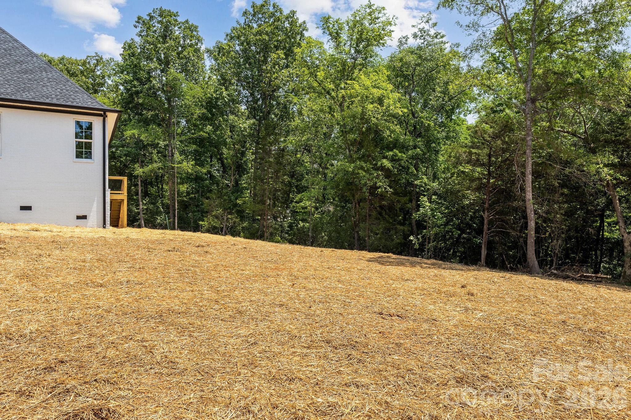 436 Riddle Mill Road, Clover, SC - photo 42 of 48