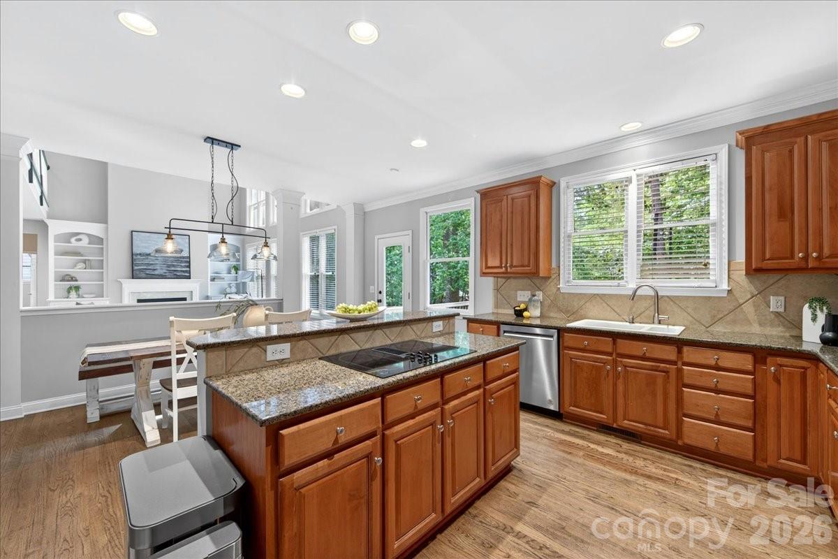 6410 Latta Springs Circle, Huntersville, NC - photo 18 of 49