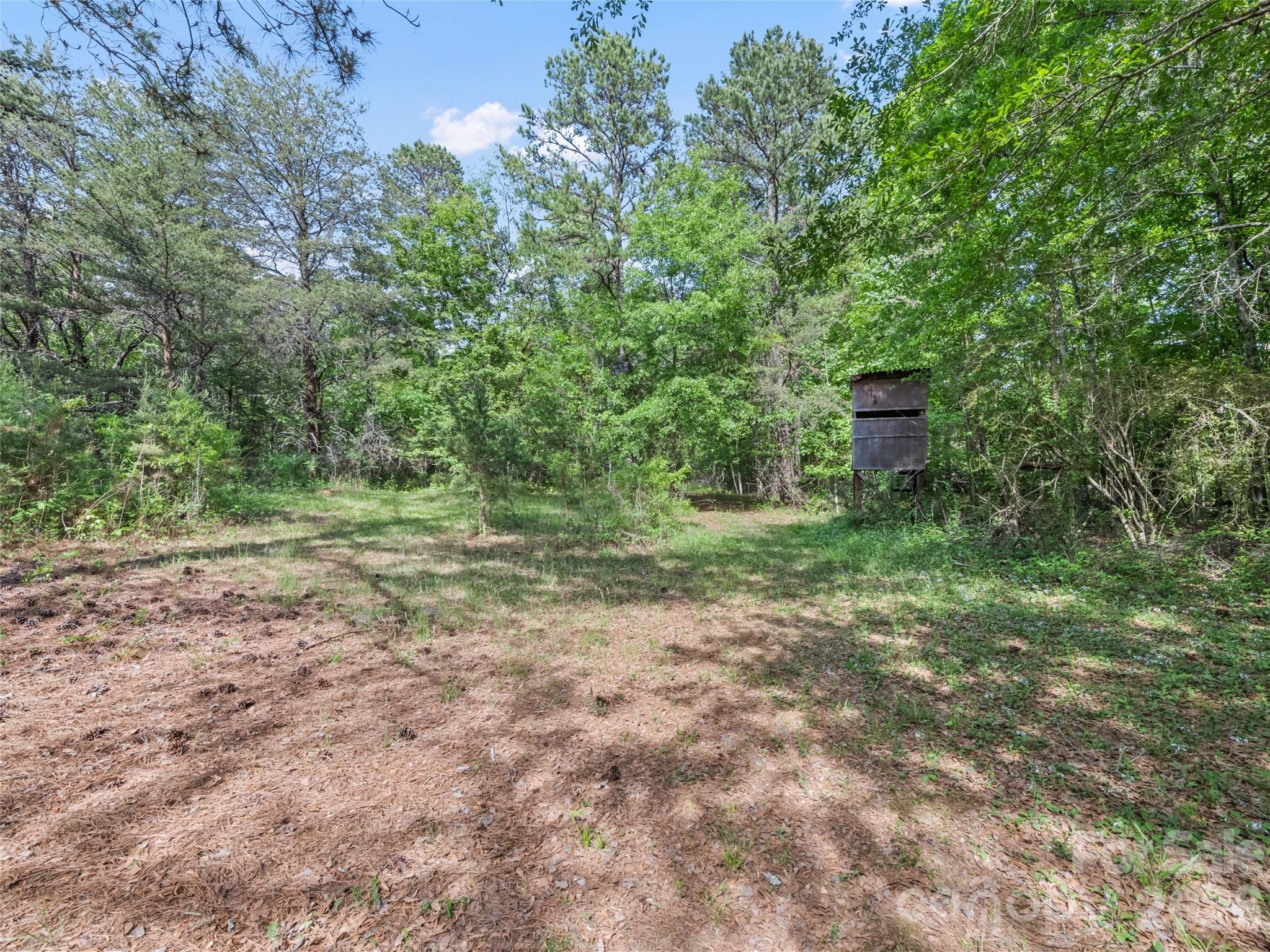 311 Soco Gap Road, Ellenboro, NC - photo 14 of 25