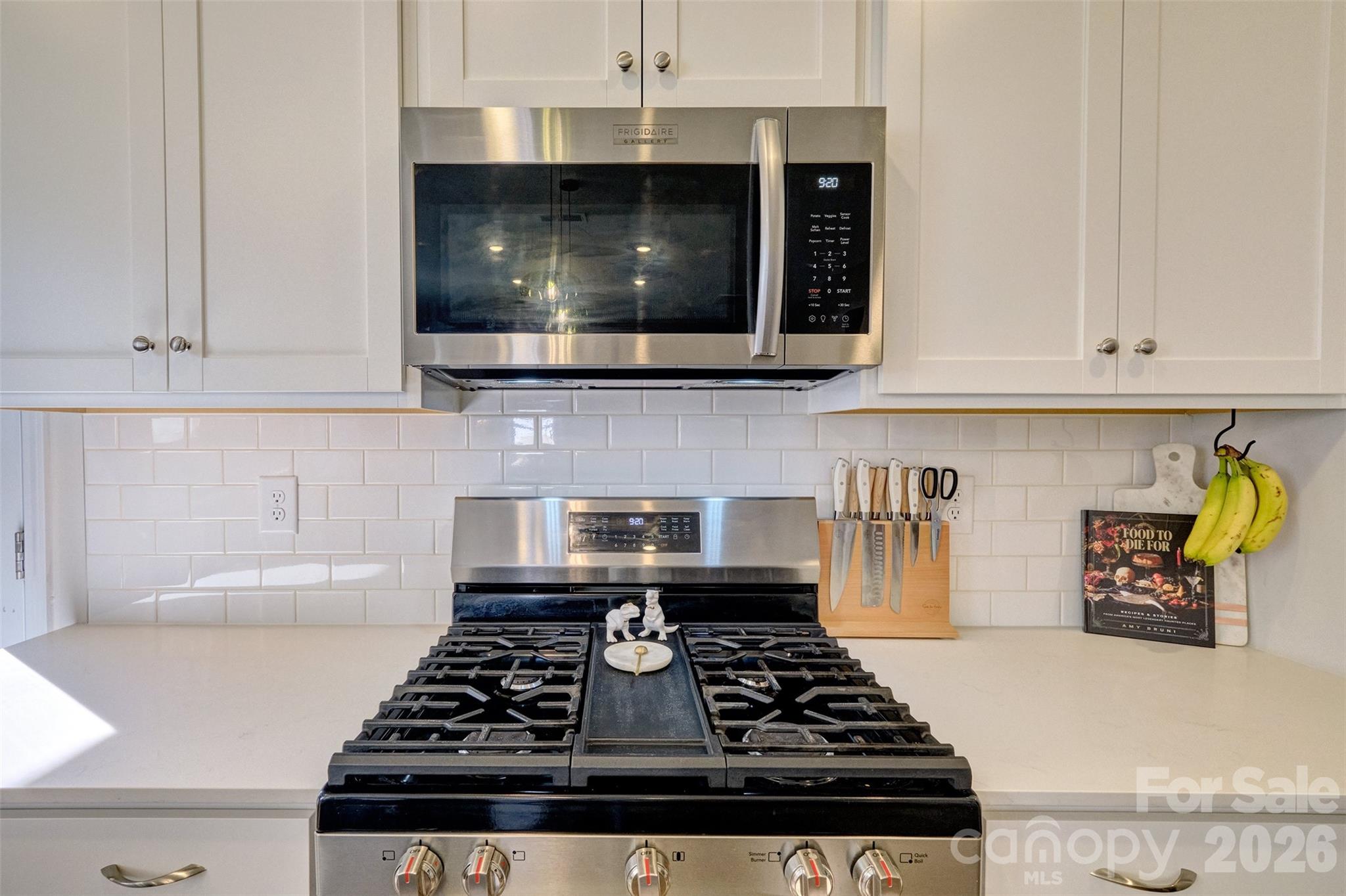 1737 Otter Perch Lane, Fort Mill, SC - photo 9 of 29