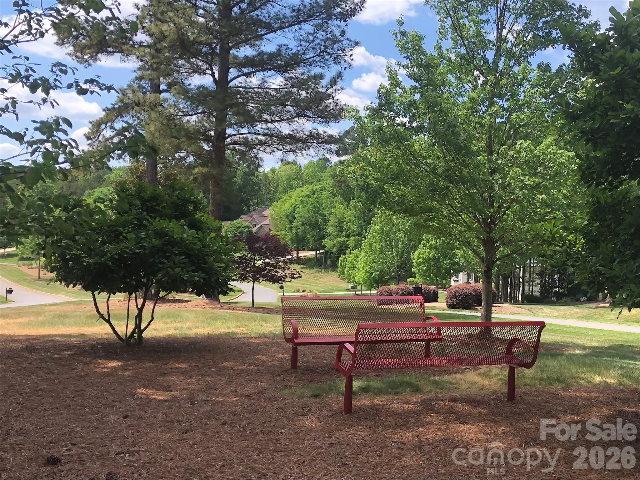 4231 Piaffe Avenue, Mint Hill, NC - photo 4 of 49