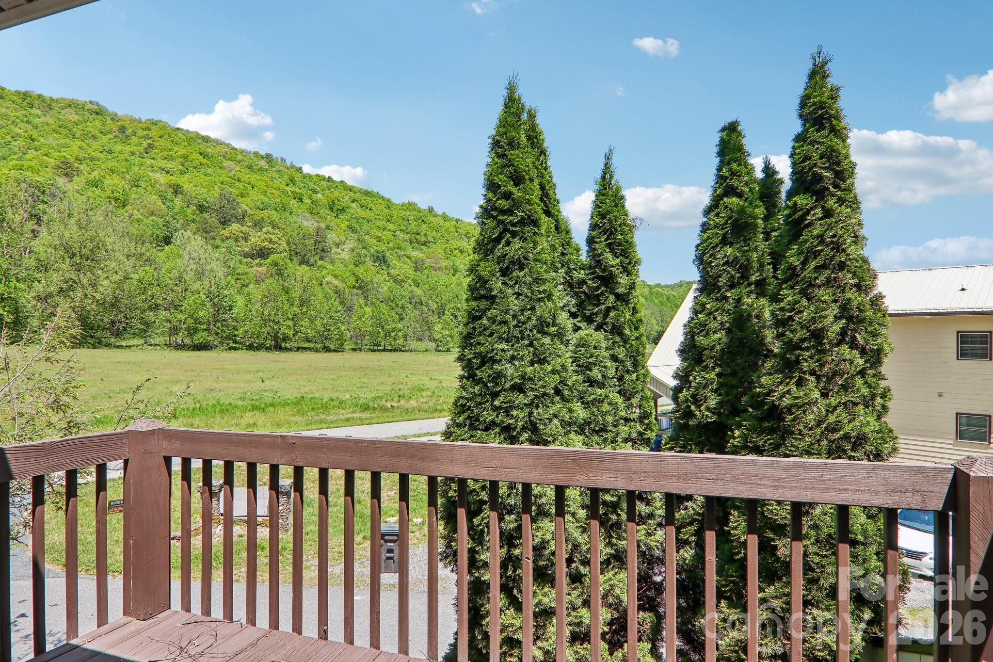 12 Indian Trace Road, Maggie Valley, NC - photo 23 of 46