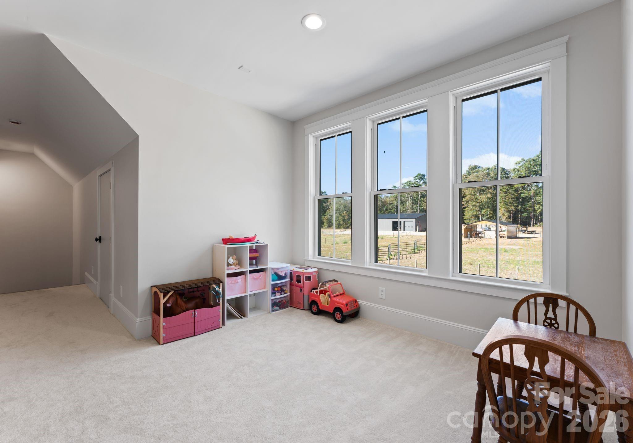 3760 Cappadocia Church Road, Polkton, NC - photo 35 of 49