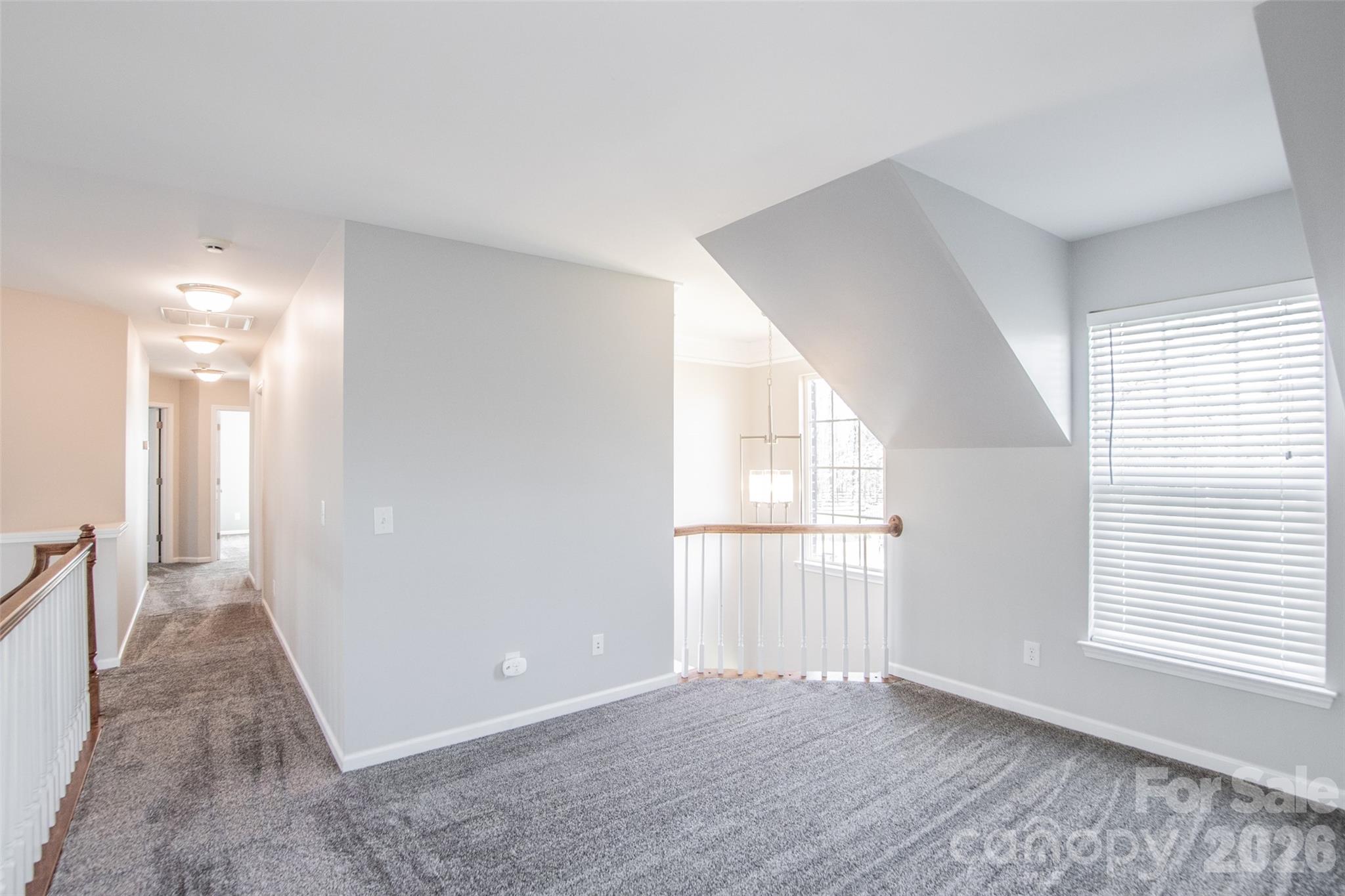 203 Elven Court, Waxhaw, NC - photo 26 of 43