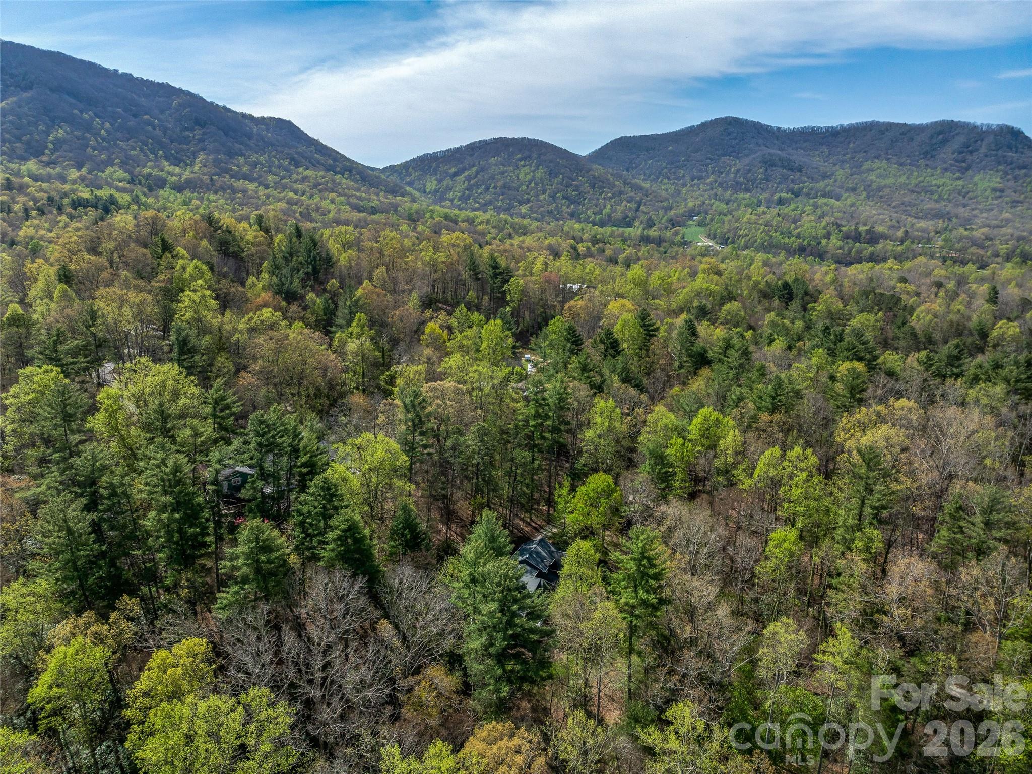18 Thousand Oaks Boulevard, Fairview, NC - photo 43 of 45