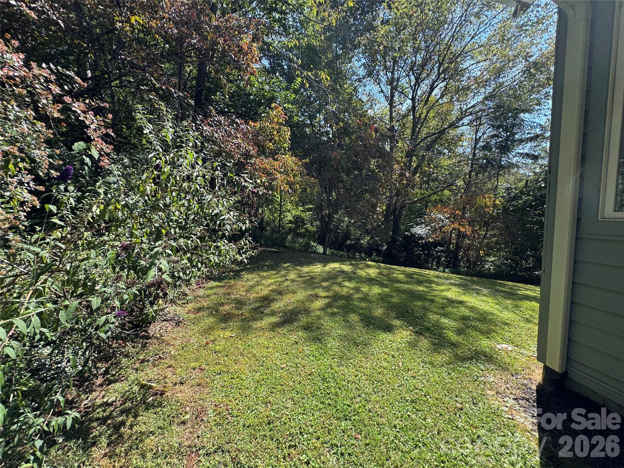 212 Blue Ridge Vista, Asheville, NC - photo 36 of 44
