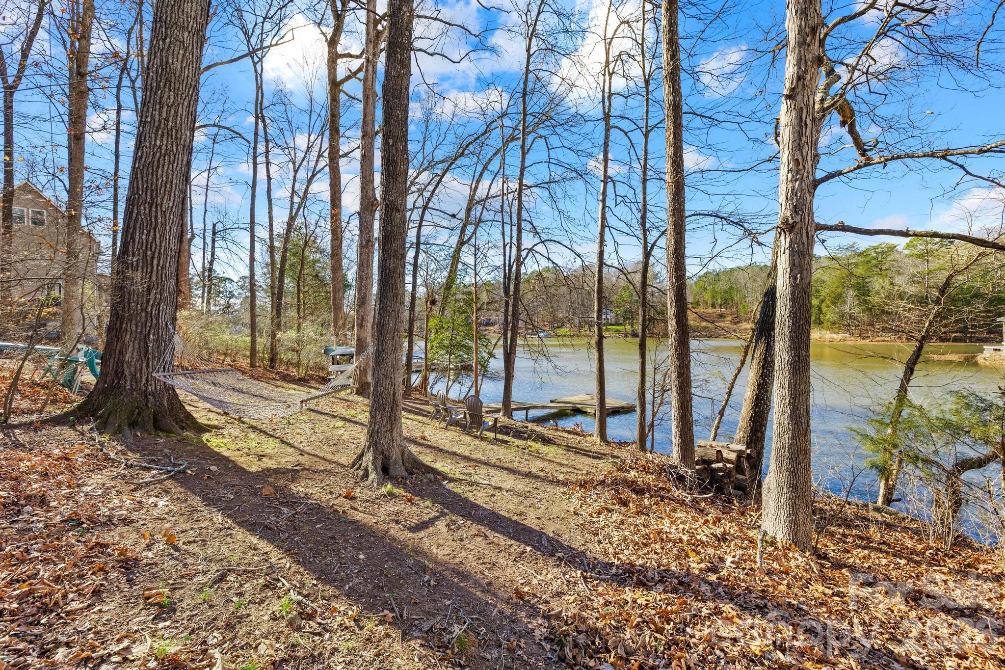 294 Carroll Cove, Clover, SC - photo 21 of 49
