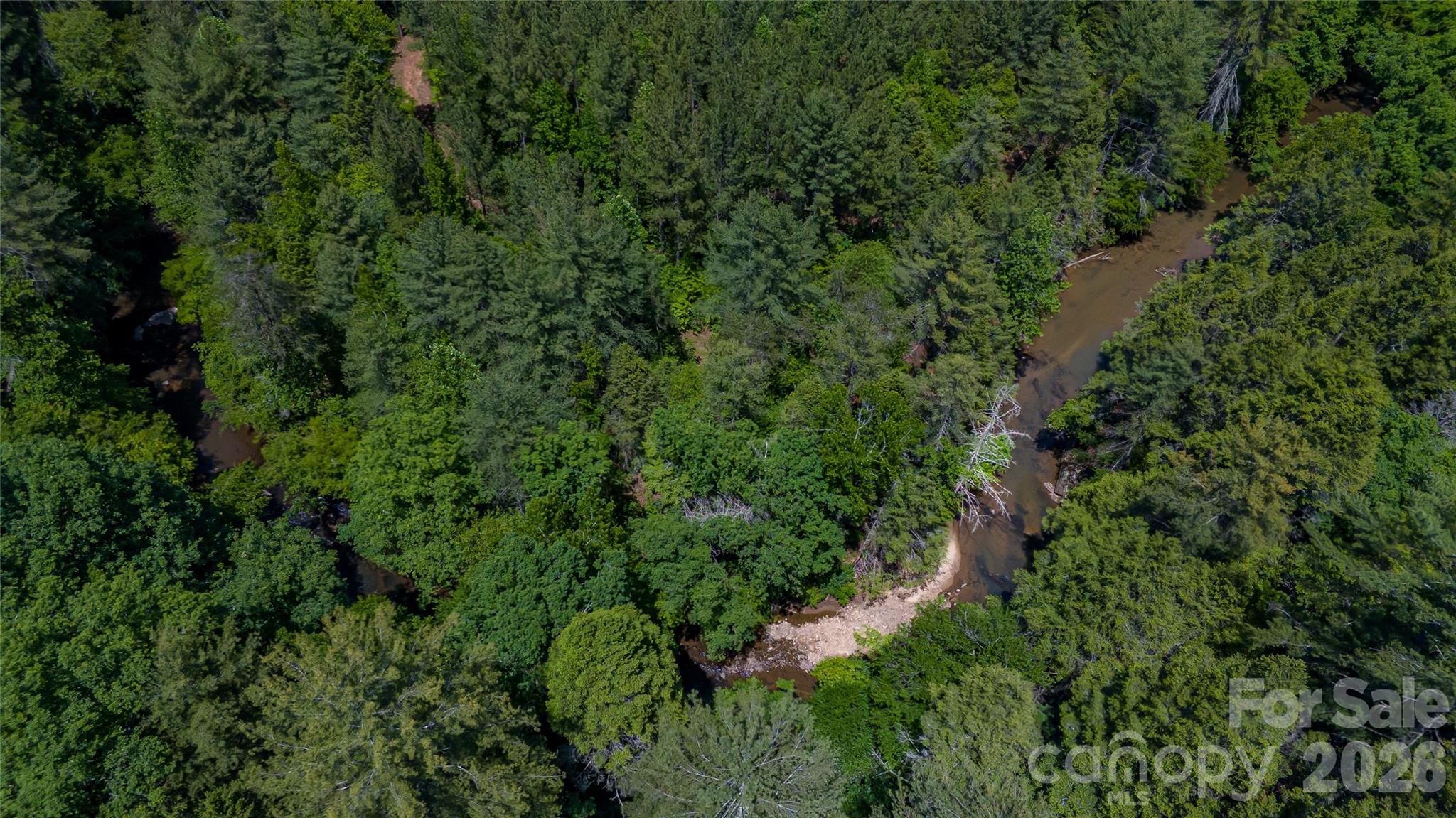 1542 Hwy 226 Highway, Casar, NC - photo 9 of 37