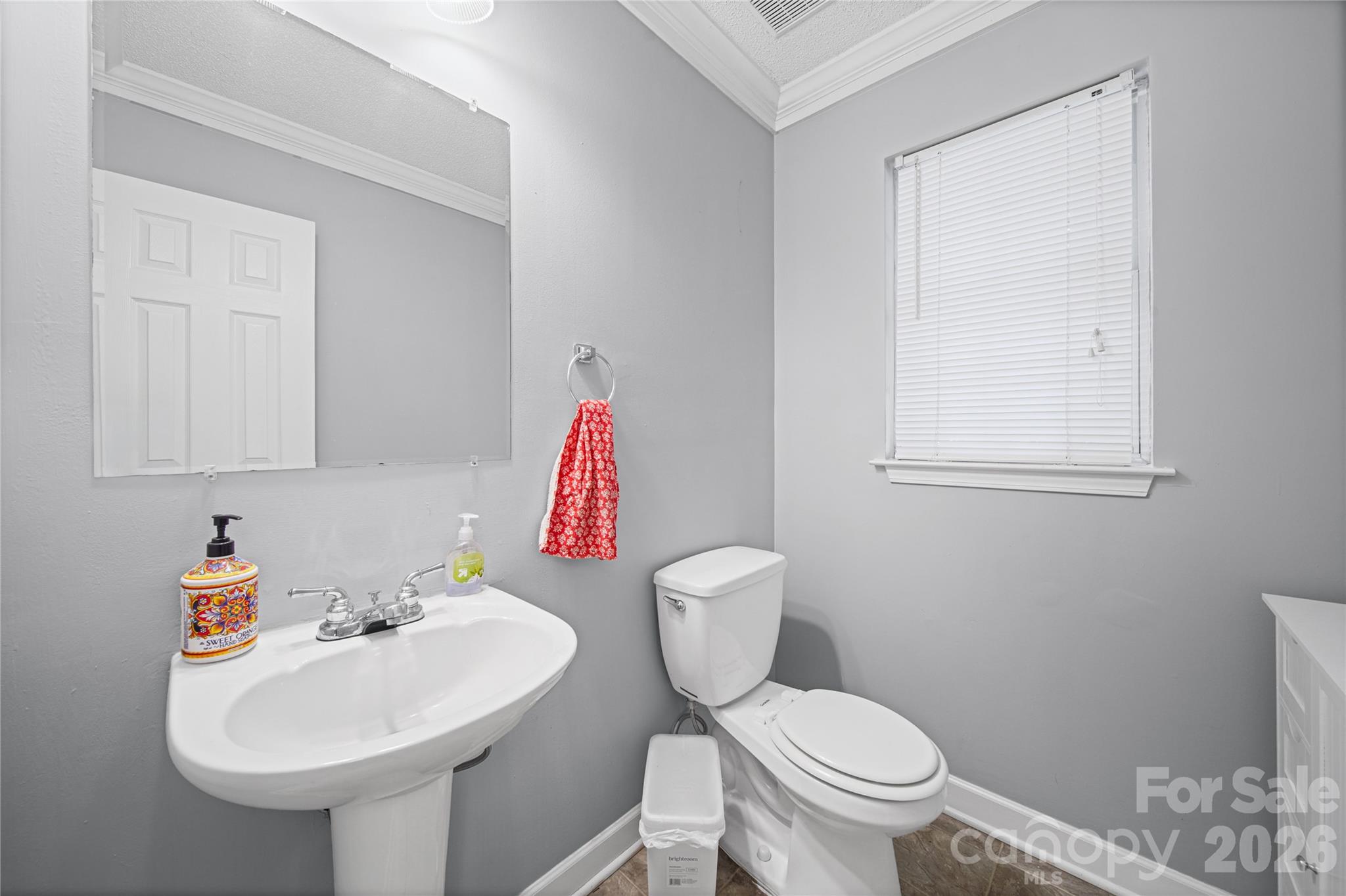 1309 Winding Branch Court, Charlotte, NC - photo 4 of 34